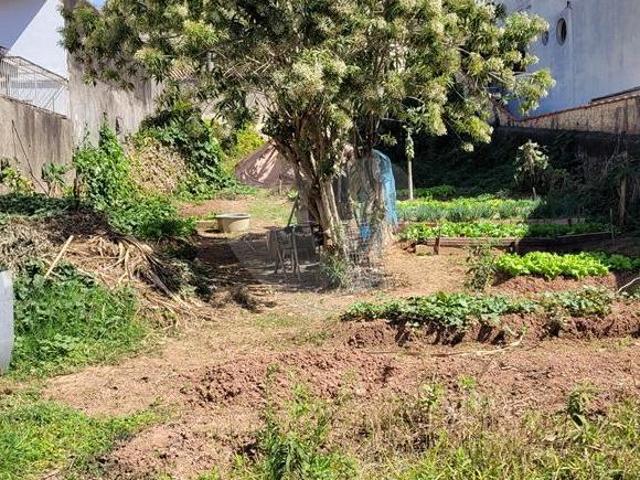 Terreno à venda em Vila rosa SP