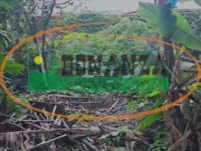 Terreno à venda em Vila São Paulo