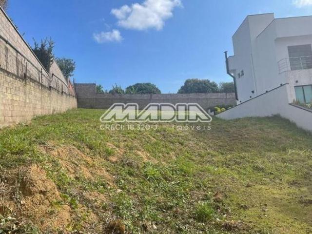terreno à venda em Vila Sonia