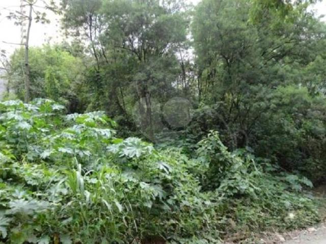 Terreno à venda em Vila suzana SP
