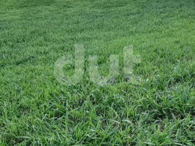 terreno à venda em Villagio Paradiso