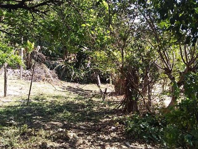 Terreno à venda em Vinhedo, Santa Rosa, com 1946 m²