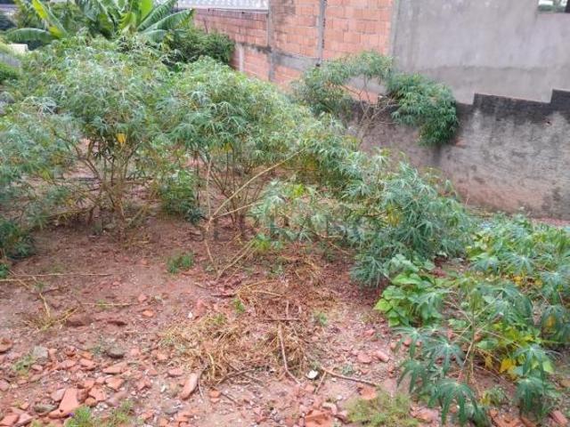 TERRENO PARA VENDA NO BAIRRO VILA JOAO XXIII EM VINHEDO