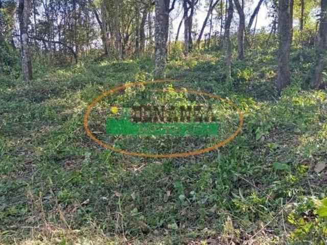 Terreno à venda em Zona Rural