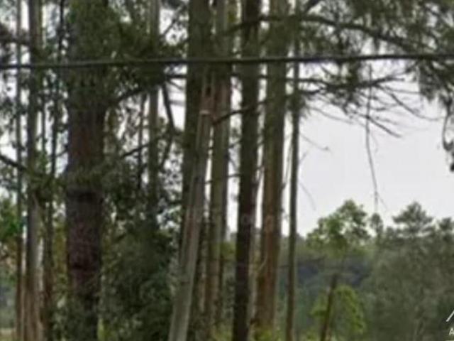 TERRENO A´VENDA EMBÚ GUAÇU 54330 M²