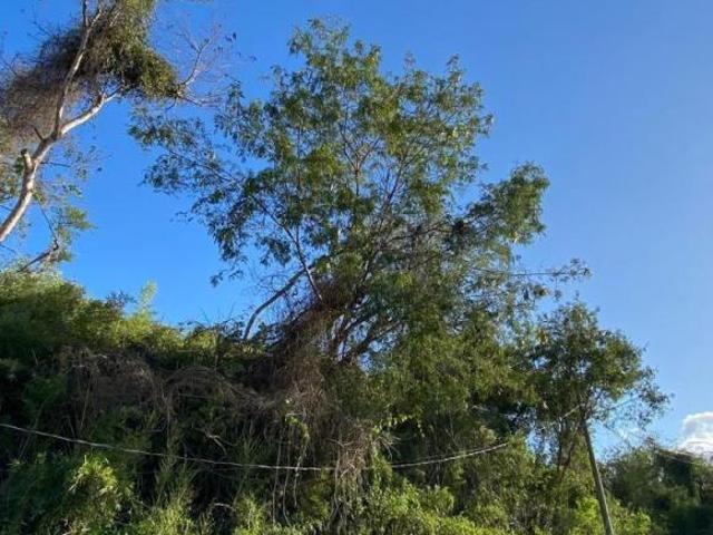 Terreno à venda, Engenho D´água Ilhabela
