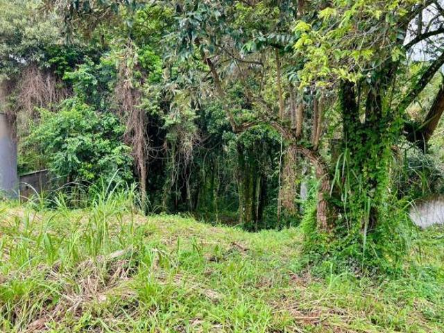 TERRENO a venda ERMITAGE RUA MAIS DO QUE EXCLUSIVA, 2 ENTRADAS