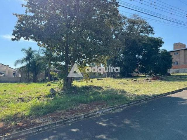 Terreno à venda, Estrela, na Said Ajuz, esquina com silvia Machado Ponta Grossa, PR