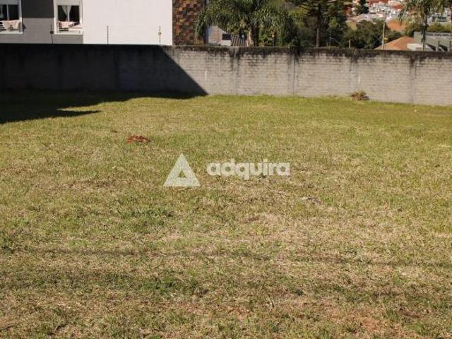 Terreno à venda, Estrela, Ponta Grossa, PR