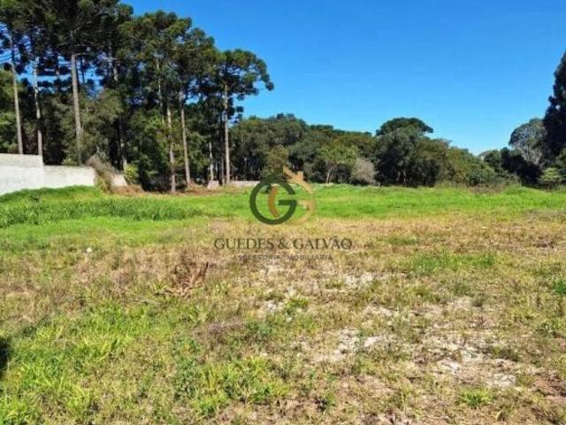 Terreno à Venda – Excelente Oportunidade para Cond