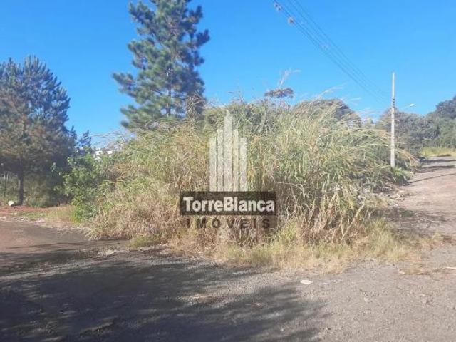 Terreno à Venda Excelente Oportunidade para Investir ou Construir