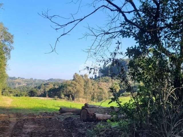 Terreno à venda, Forqueta, Caxias do Sul, RS