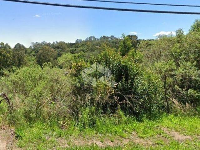 Terreno à venda, Forqueta, Caxias do Sul, RS