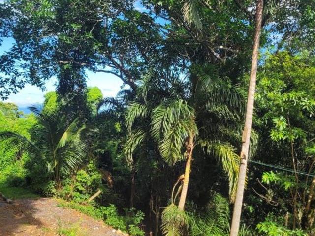 Terreno à venda, Feiticeira Ilhabela!