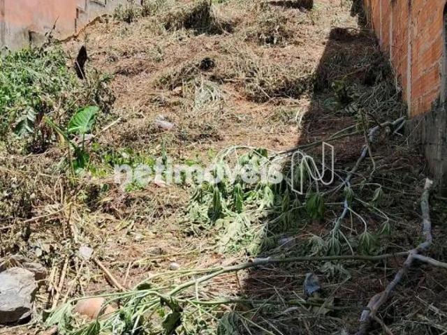Terreno à Venda, Frei Leopoldo, Belo Horizonte