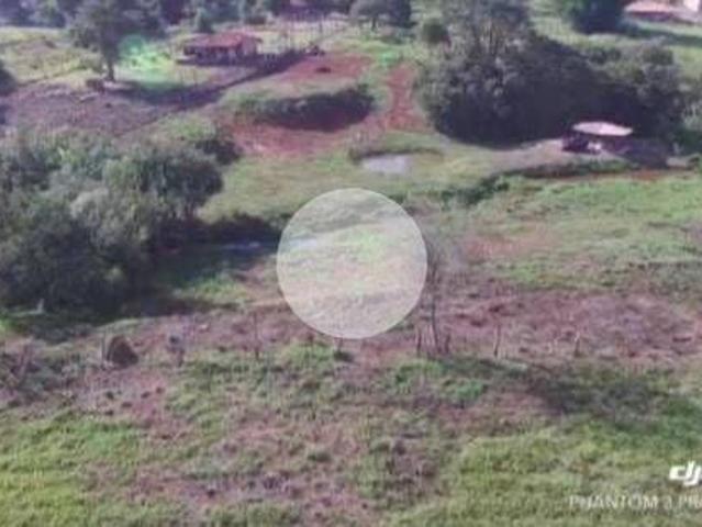 terreno a venda km 154 da Castelo Branco