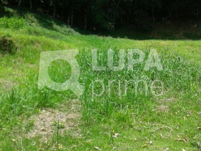 Terreno á venda Horto Florestal