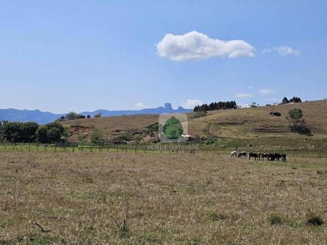 Terreno à venda ideal para investimento, 20000 m² por R$ 1.000.000 Serrano São Bento do Sapucaí/