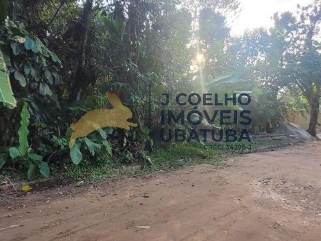 Terreno a venda Itamambuca, Ubatuba SP *Lado praia