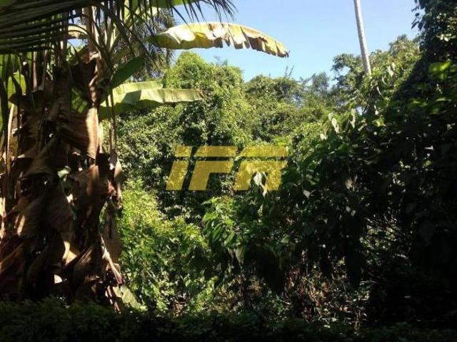 Terreno à venda, Itamambuca, Ubatuba, SP