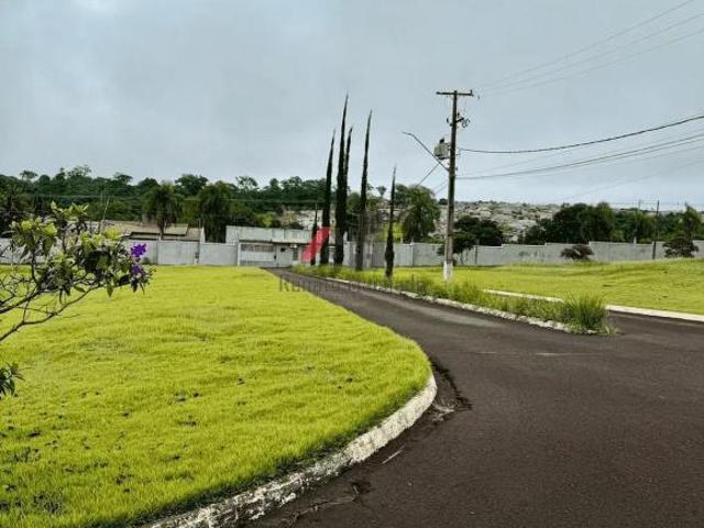 Terreno à venda, Jardim Morumbi, Arapongas, PR