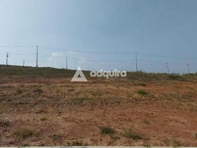 Terreno à venda, Jardim Alpha, Jardim Carvalho, Ponta Grossa, PR