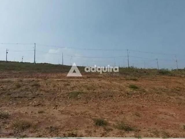 Terreno à venda, Jardim Alpha, Jardim Carvalho, Ponta Grossa, PR