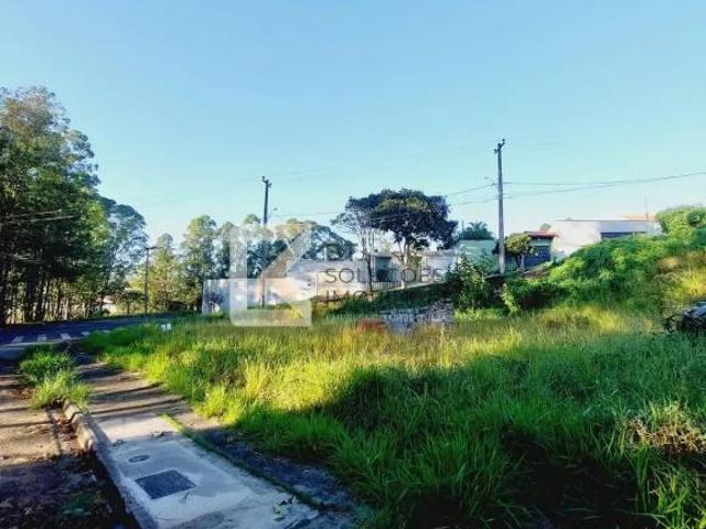 Terreno à venda, Jardim Bela Vista, Indaiatuba, SPㅤㅤㅤㅤㅤㅤㅤㅤㅤㅤㅤㅤㅤㅤㅤㅤㅤㅤㅤㅤㅤㅤㅤㅤㅤㅤㅤㅤㅤㅤㅤㅤㅤㅤㅤㅤㅤㅤㅤㅤㅤㅤㅤㅤㅤㅤㅤㅤㅤㅤ