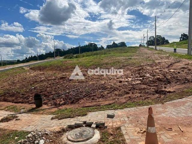 Terreno à venda, Jardim Carvalho, Jardim Alpha, Ponta Grossa, PR