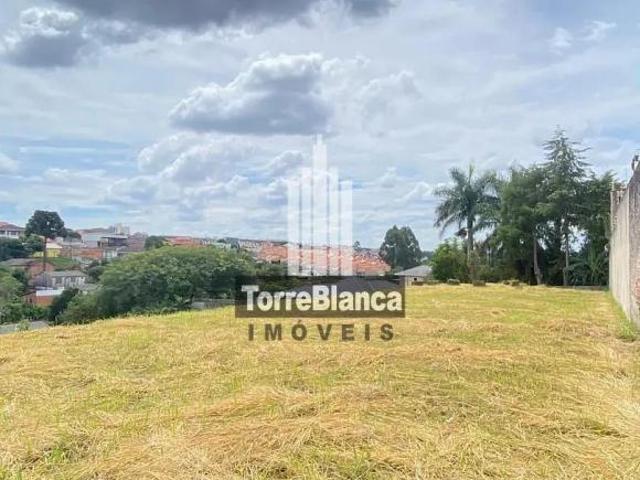 Terreno à venda, Jardim Carvalho, Ponta Grossa, PR