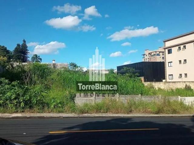 Terreno à venda, Jardim Carvalho, Ponta Grossa, PR