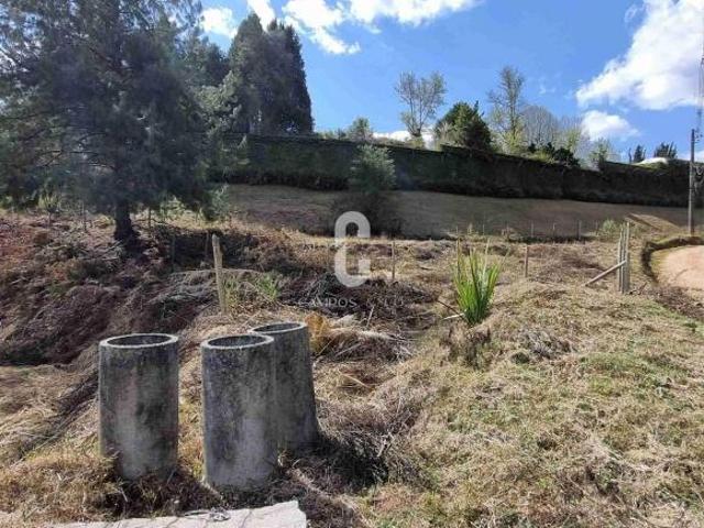 Terreno à venda, Jardim Embaixatriz, Campos do Jordão, SP
