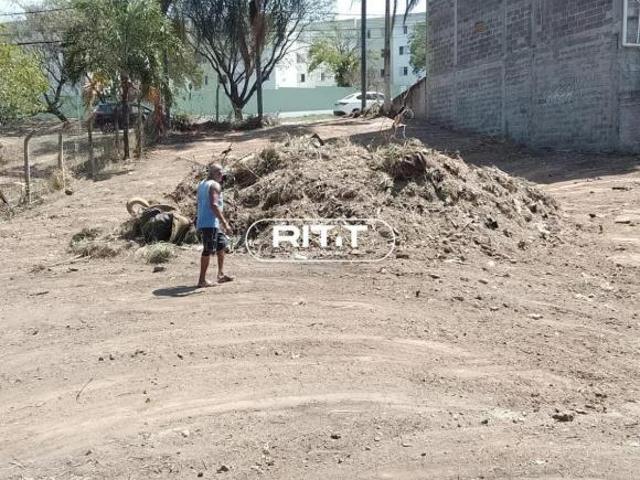 Terreno à venda, Jardim Indianópolis, Campinas, SP