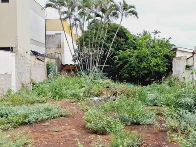 Terreno à venda, Jardim Irajá, RIBEIRAO PRETO SP