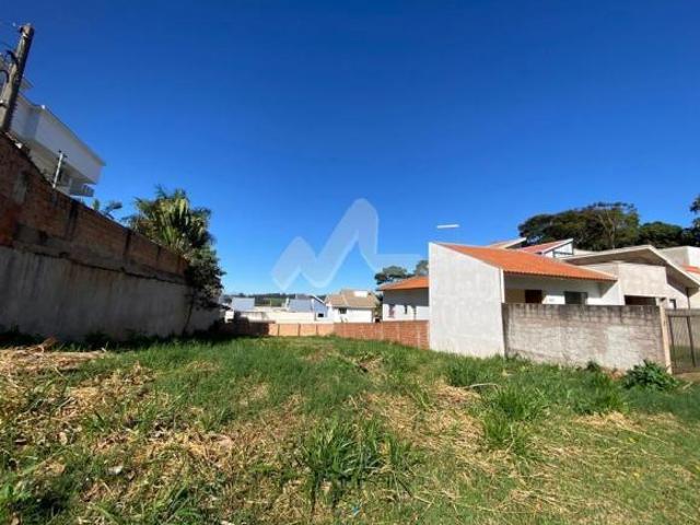Terreno à venda, Jardim Pancera, TOLEDO PR