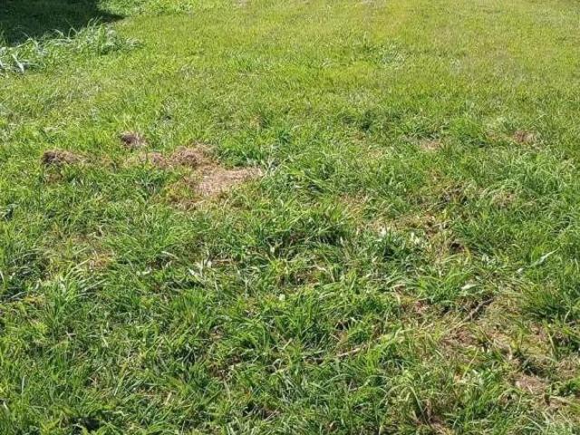 Terreno à venda, Jardim Theodora, Itu, SP