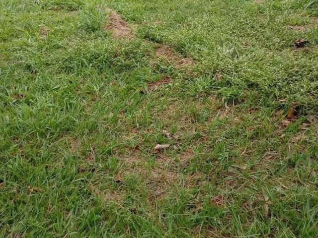 Terreno à venda, Jardim Theodora, Itu, SP