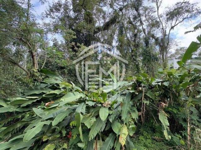 Terreno à Venda Opotunidade na Praia de Itamambuca