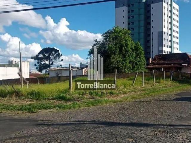Terreno à venda, Orfãs, Ponta Grossa, PR