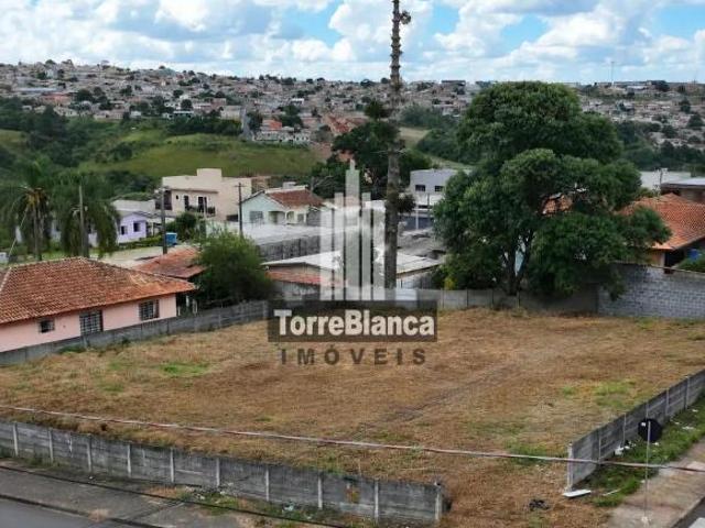 Terreno à venda, Orfãs, Ponta Grossa, PR
