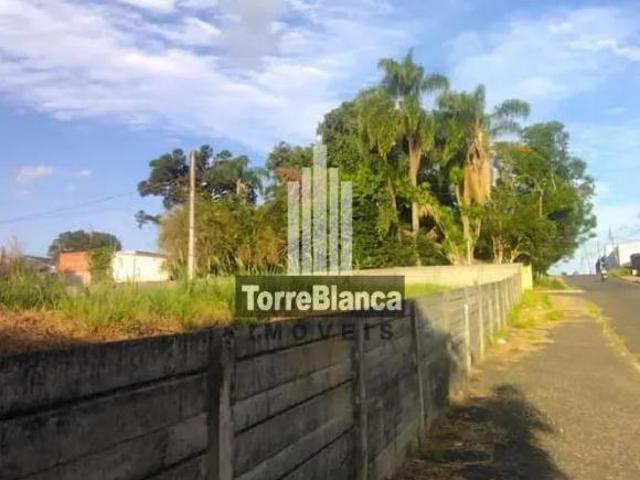 Terreno à venda, Orfãs, Ponta Grossa, PR