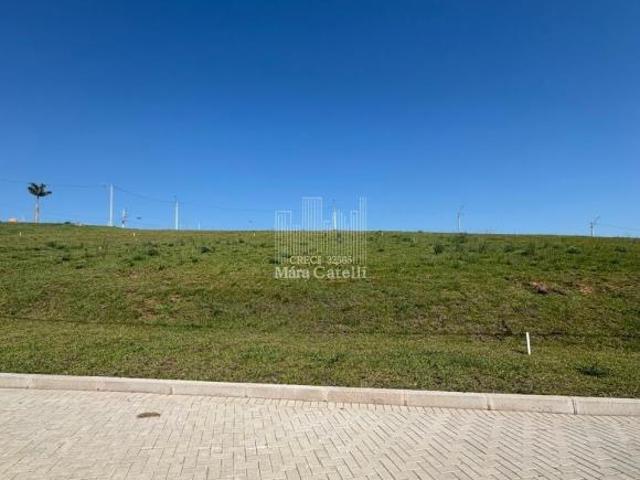 Terreno à venda Loteamento Belavista