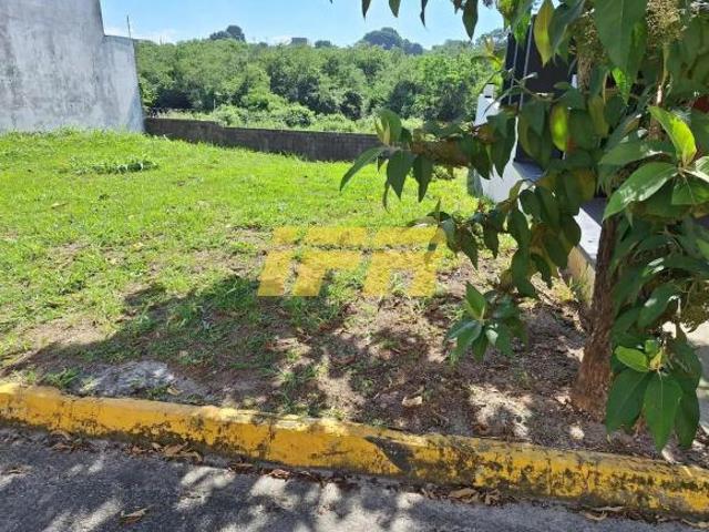 Terreno à venda, Loteamento Pinheiros de Tremembé, Tremembé, SP