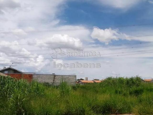 Terreno à Venda localizado no bairro Lago Sul II