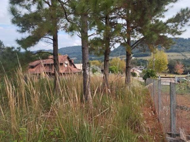 Terreno à venda Linha Brasil, Nova Petrópolis
