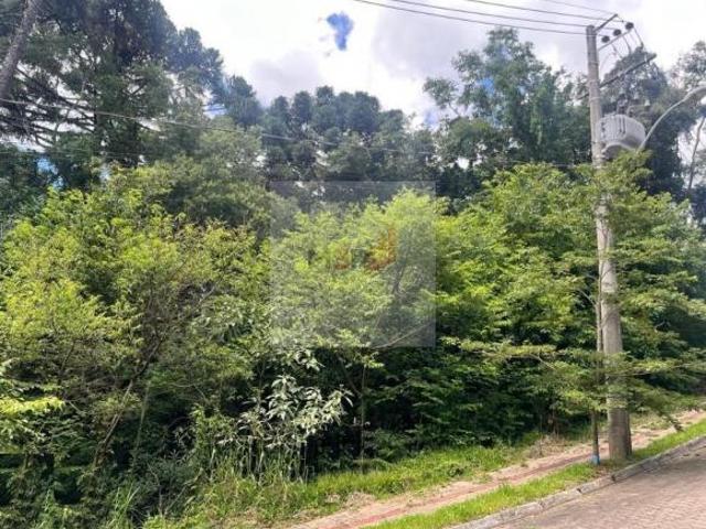 Terreno à Venda Linha Imperial Nova Petrópolis | 426m² Junto à Natureza | Lote Residencial Seguro e