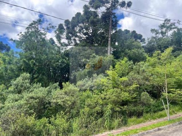 Terreno à Venda Linha Imperial Nova Petrópolis | 426m² Junto à Natureza | Lote Residencial Seguro e