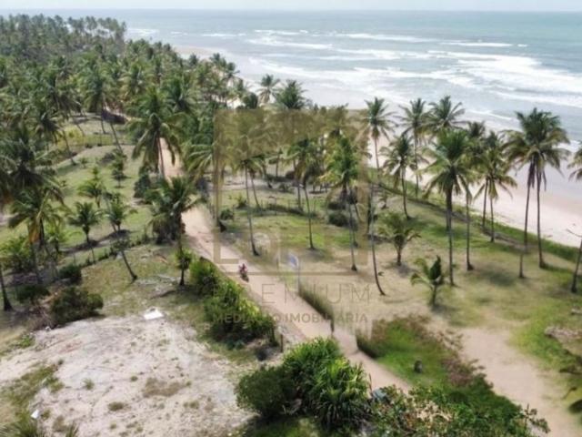 Terreno à venda Maraú, Bahia