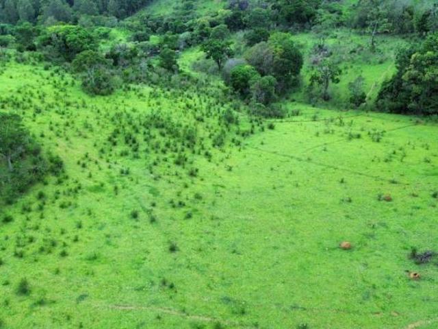 TERRENO À VENDA MUNHOZ MG