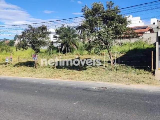 Terreno à Venda, Novo Centro, Santa Luzia